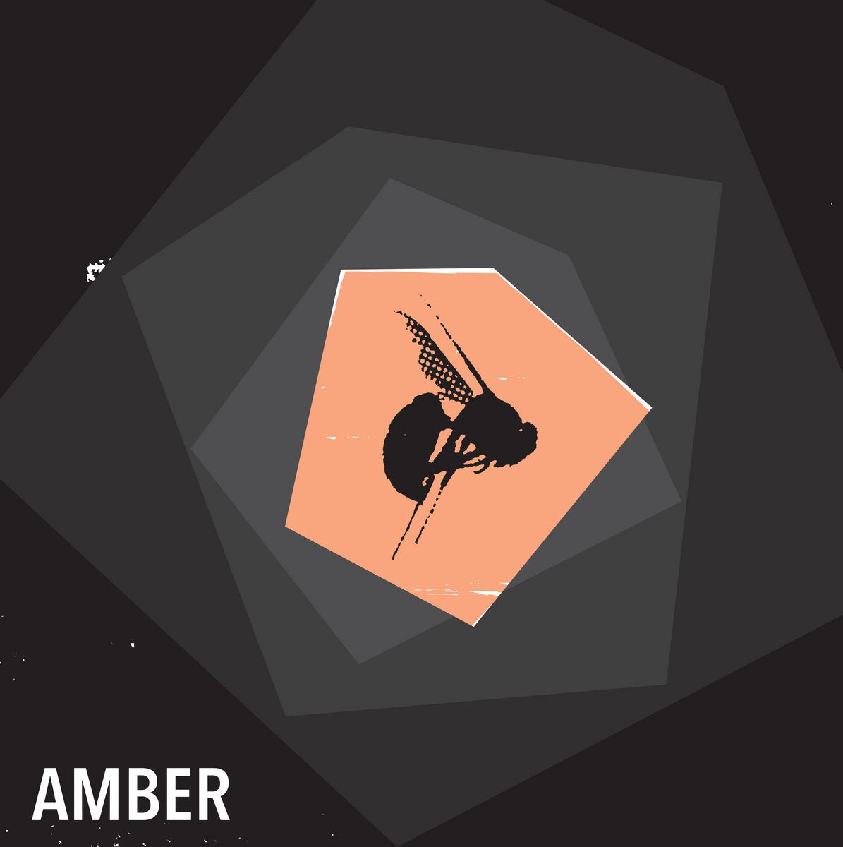 Amber - Amber [Used Vinyl] – Tonality Records